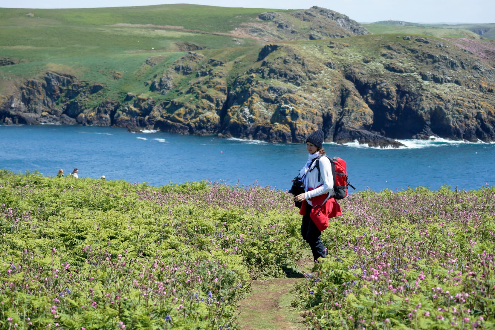 Visiting Skomer Island Puffins & Wildlife (Updated 2024)