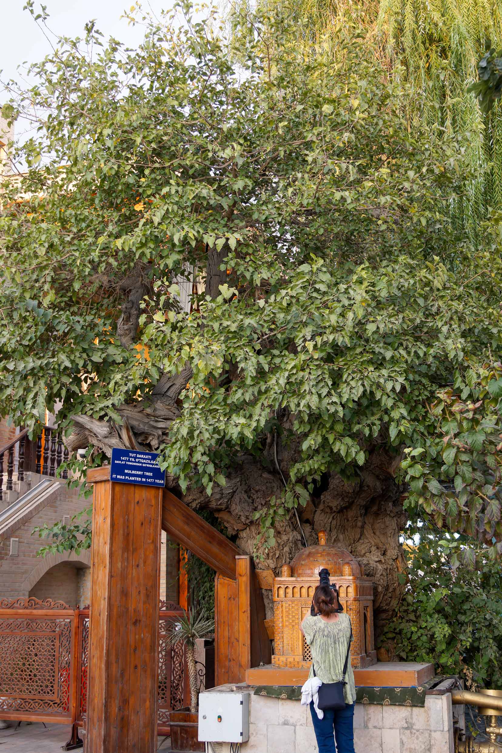 21 Top Things to Do in Bukhara, Uzbekistan
