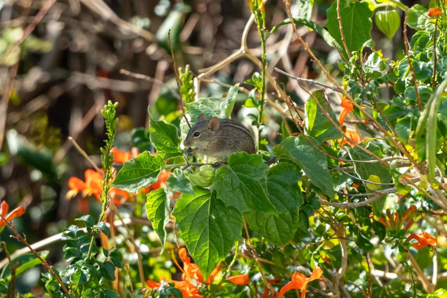 Is Prince Albert, SA, Worth Visiting? Here's 21 Things to Do