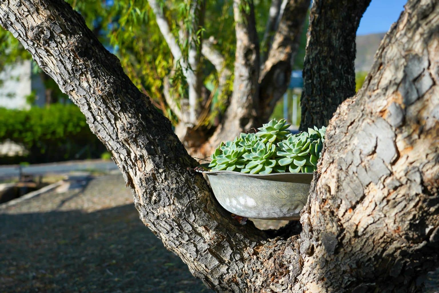 Is Prince Albert, SA, Worth Visiting? Here's 21 Things to Do