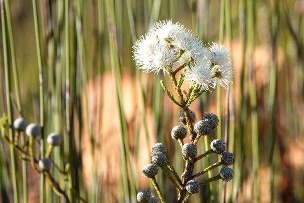 Is Prince Albert, SA, Worth Visiting? Here's 21 Things to Do