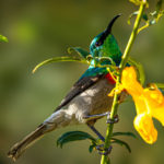 28 Best Things to do in Stavanger and Surrounds - Lifejourney4two