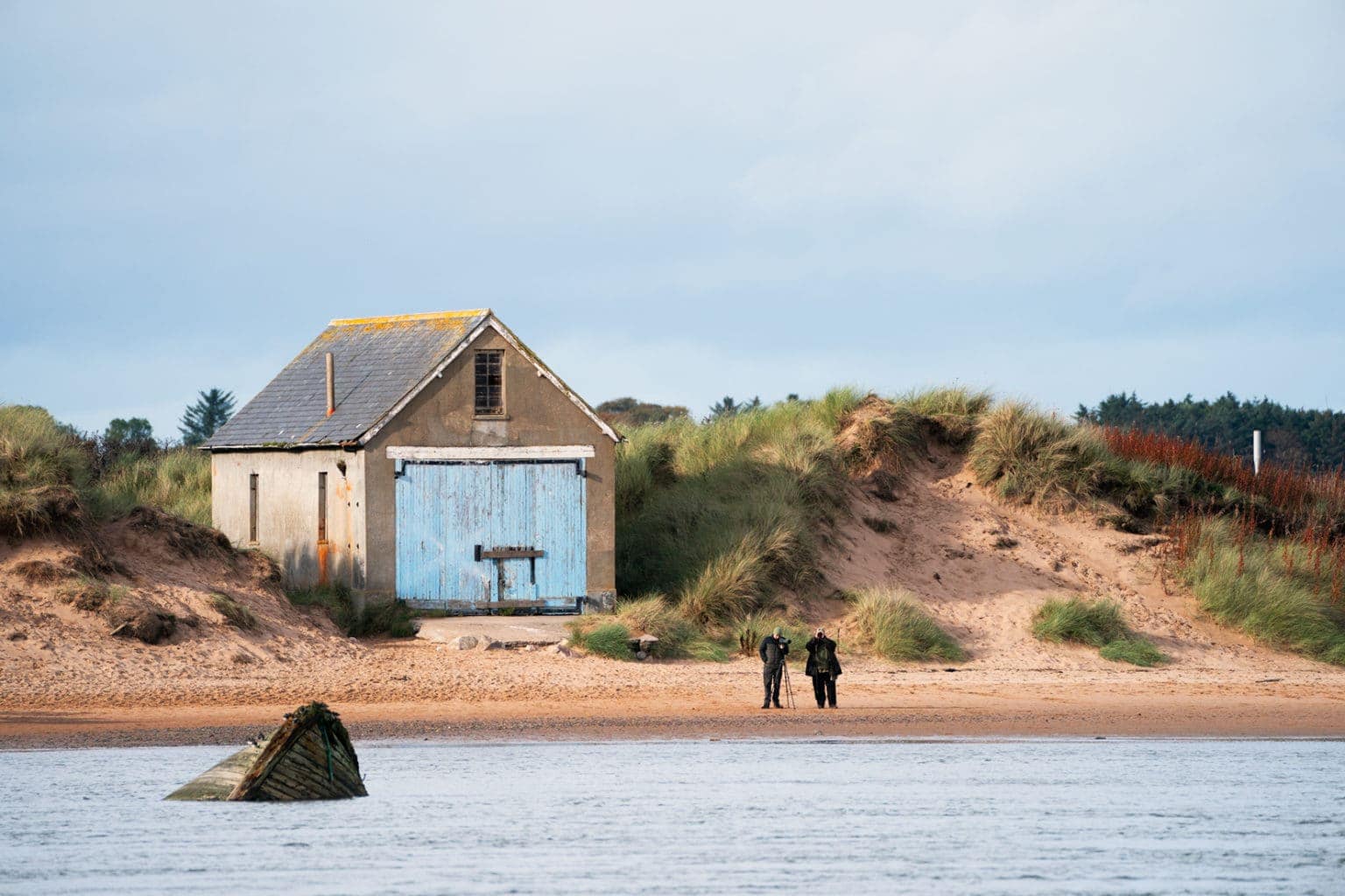Newburgh Seal Beach: Discovering Scotland's Wildlife
