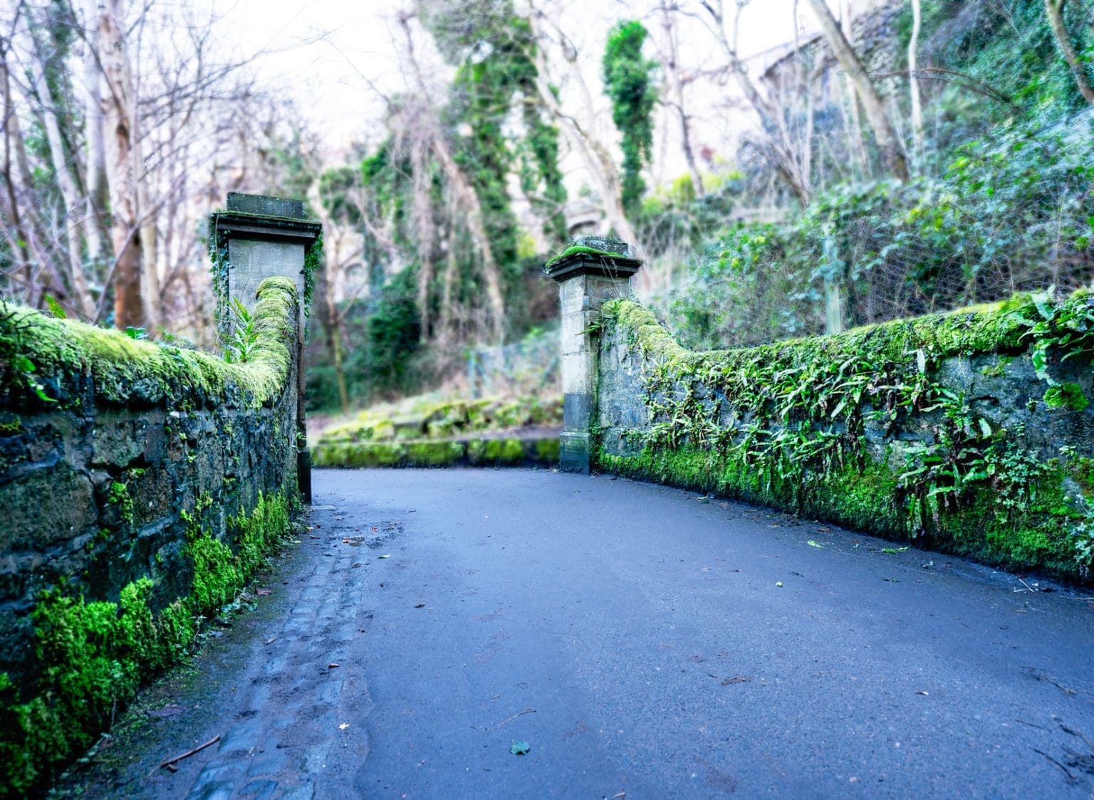 Delightful Dean Village Edinburgh: A Walk Through
