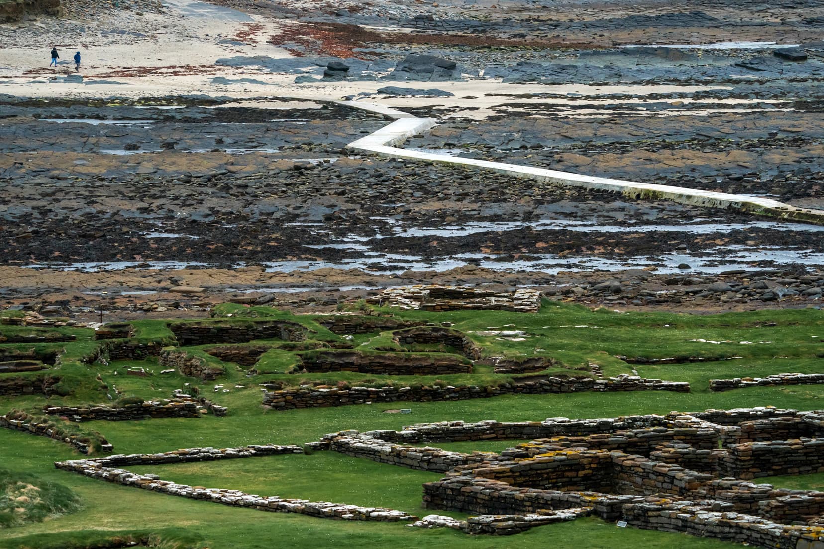 Brough of Birsay Walk, Orkney: Top Tips, Sights, and Wildlife