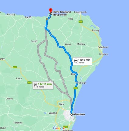 Troup Head Nature Reserve: Gannets Galore