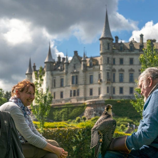 Dunrobin Castle Falconry: Feathers and Flair