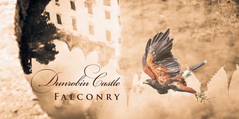 Dunrobin Castle Falconry: Feathers and Flair