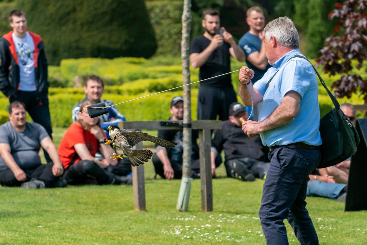 Dunrobin Castle Falconry: Feathers and Flair