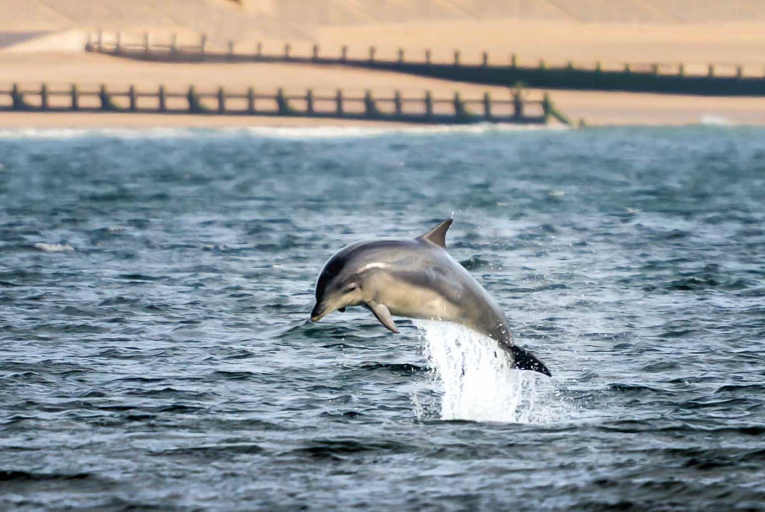 21 Reasons Why Aberdeen is Worth Visiting