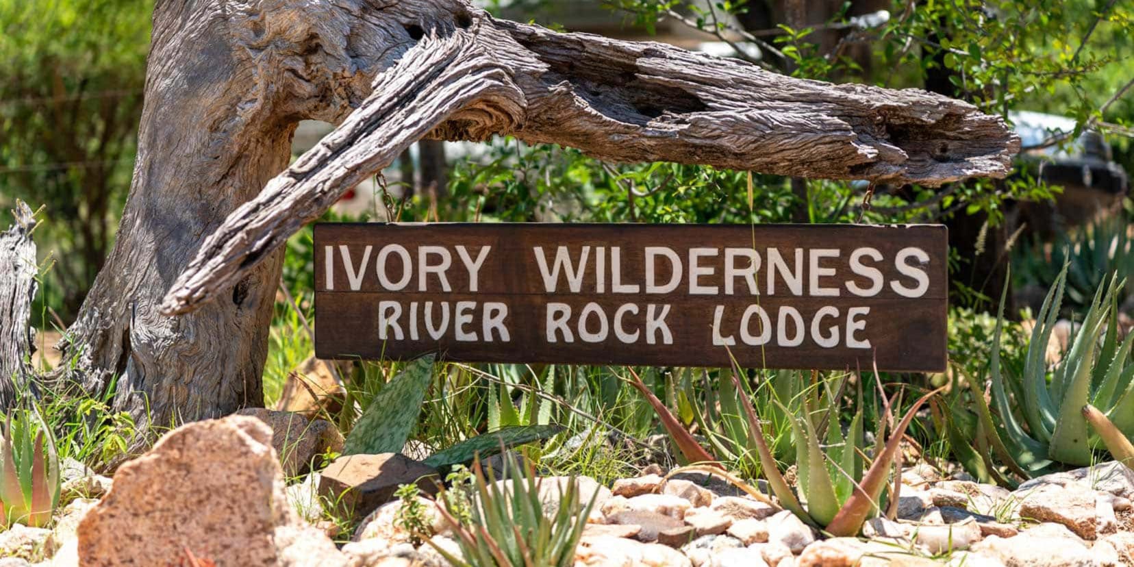 Ivory Wilderness River Rock Lodge Review: Safari Bliss