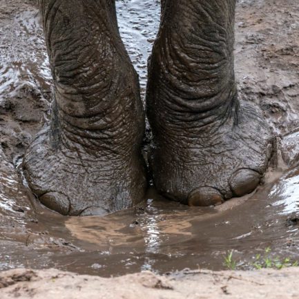 Top 16 iSimangaliso Wetland Park Activities for 2024