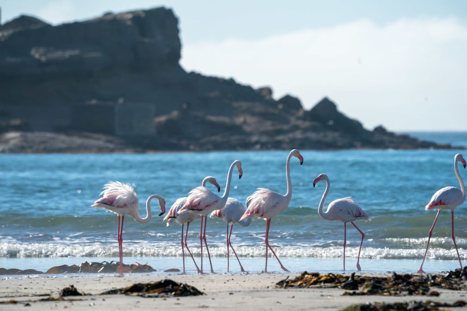 15 Best Things to do in Luderitz, Namibia
