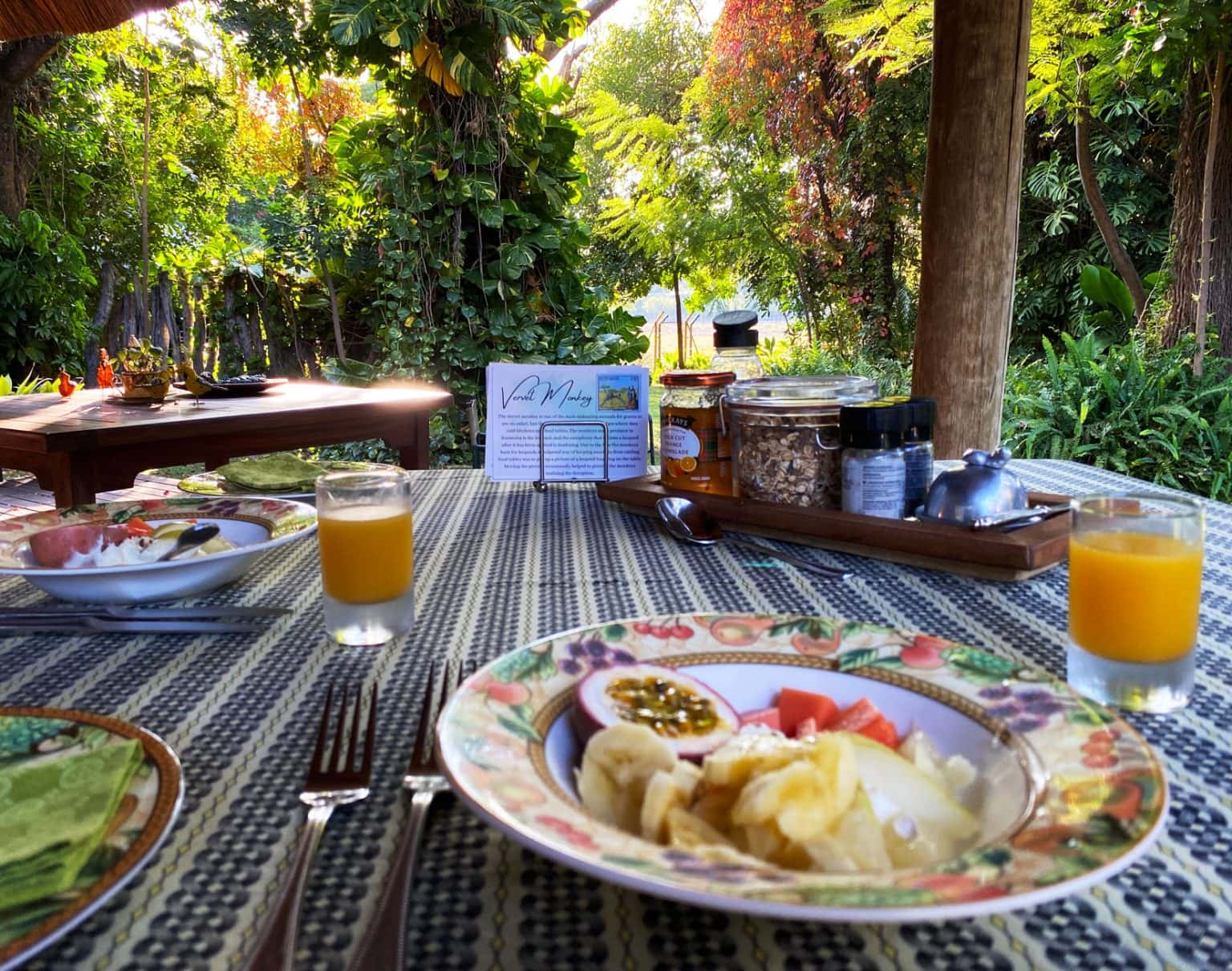 14 Best Accommodation in Maun, Botswana 2025