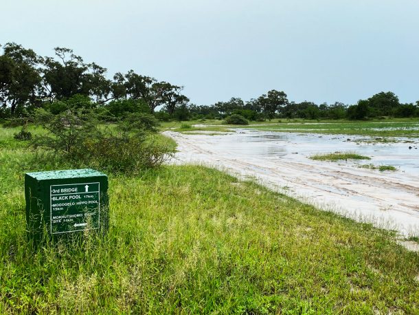 Moremi Game Reserve Camping and Self-Drive Safari