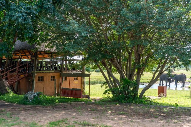 Camping in Botswana 2025: The Ultimate Guide