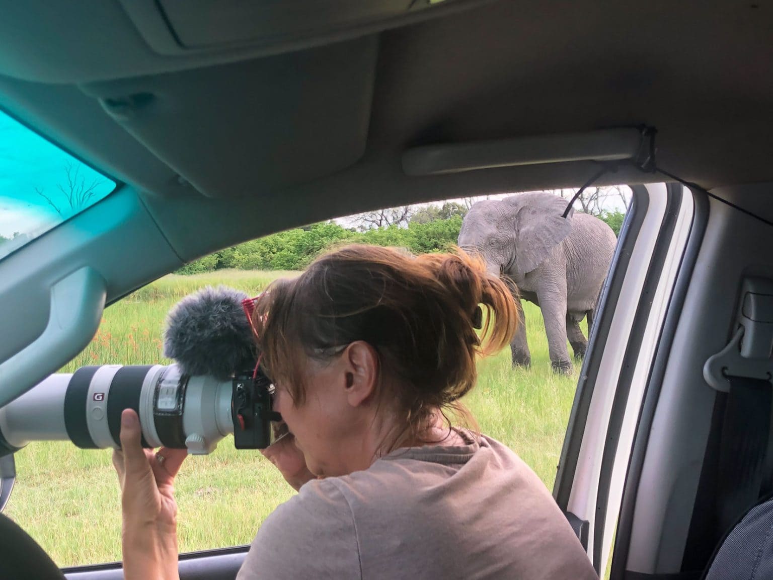 19 Best Safari Accessories: Absolute Essentials