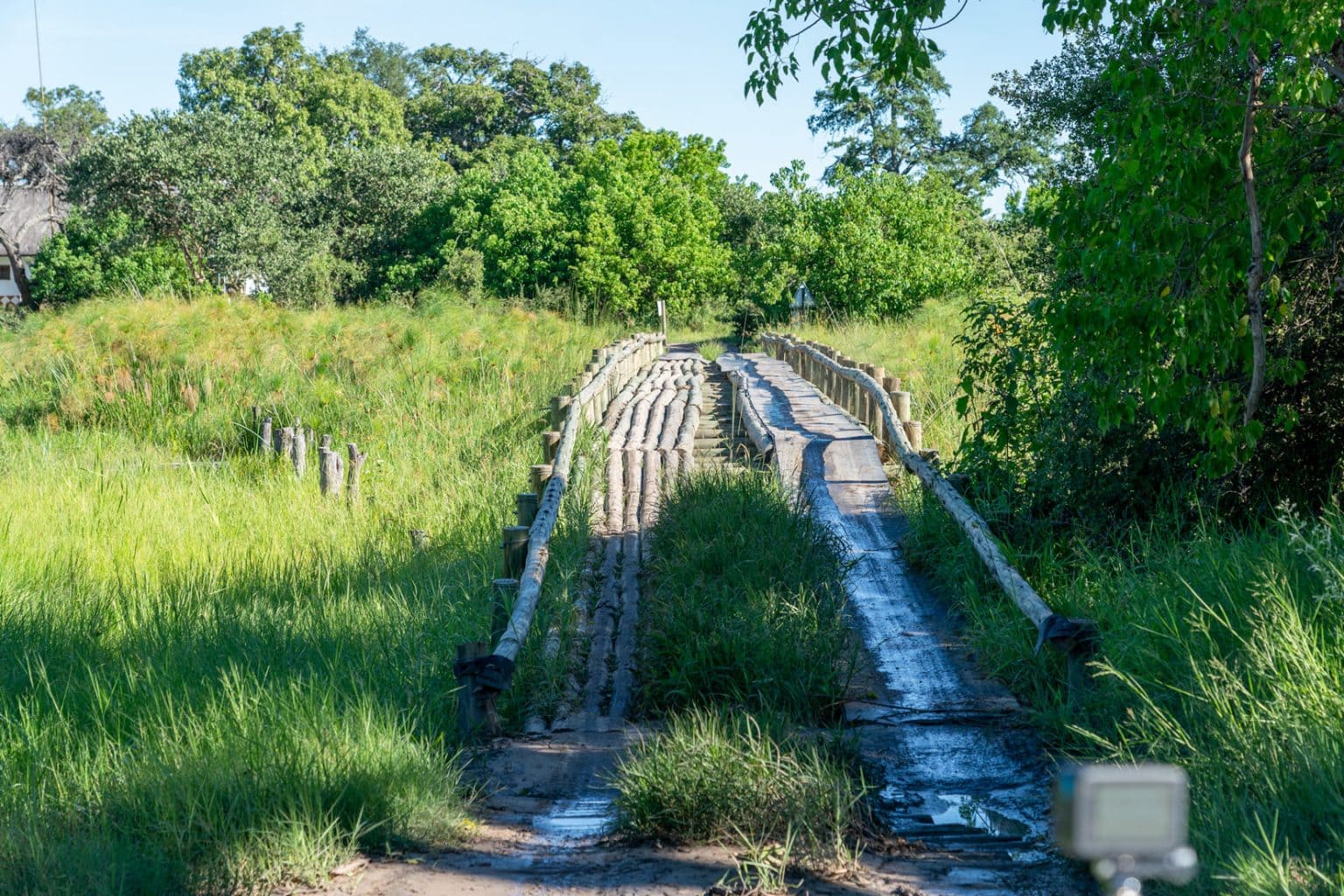 Camping in the Okavango Delta: Your Ultimate Guide