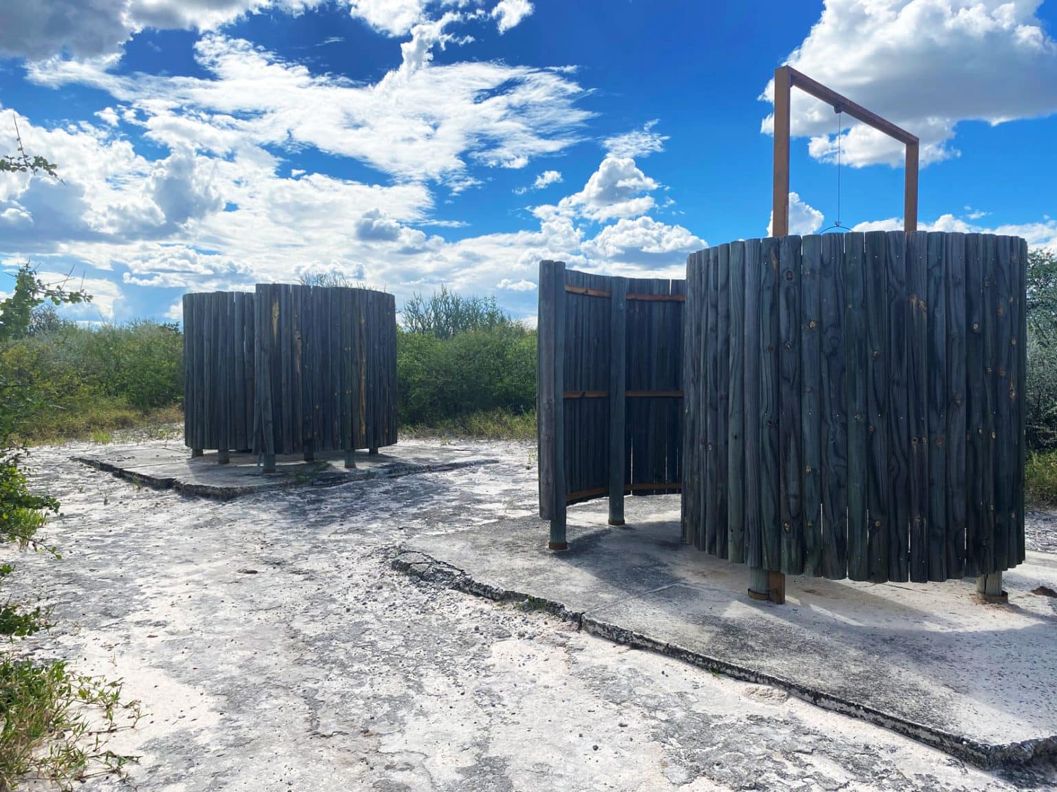 Botswana Self-Drive Itinerary: An Epic Safari 2024