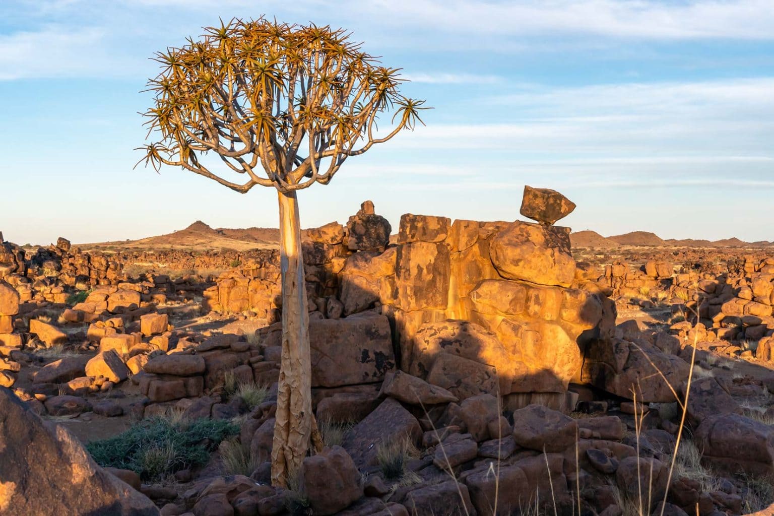 Quiver Tree Forest, Namibia: A Visitor's Photo Guide