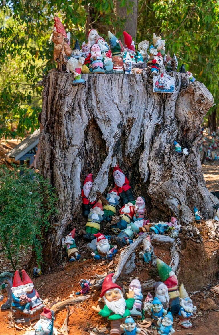 A Traveller's Guide to Gnomesville WA: A Quirky Adventure