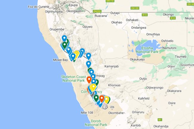 Where to Find Desert Elephants in Namibia