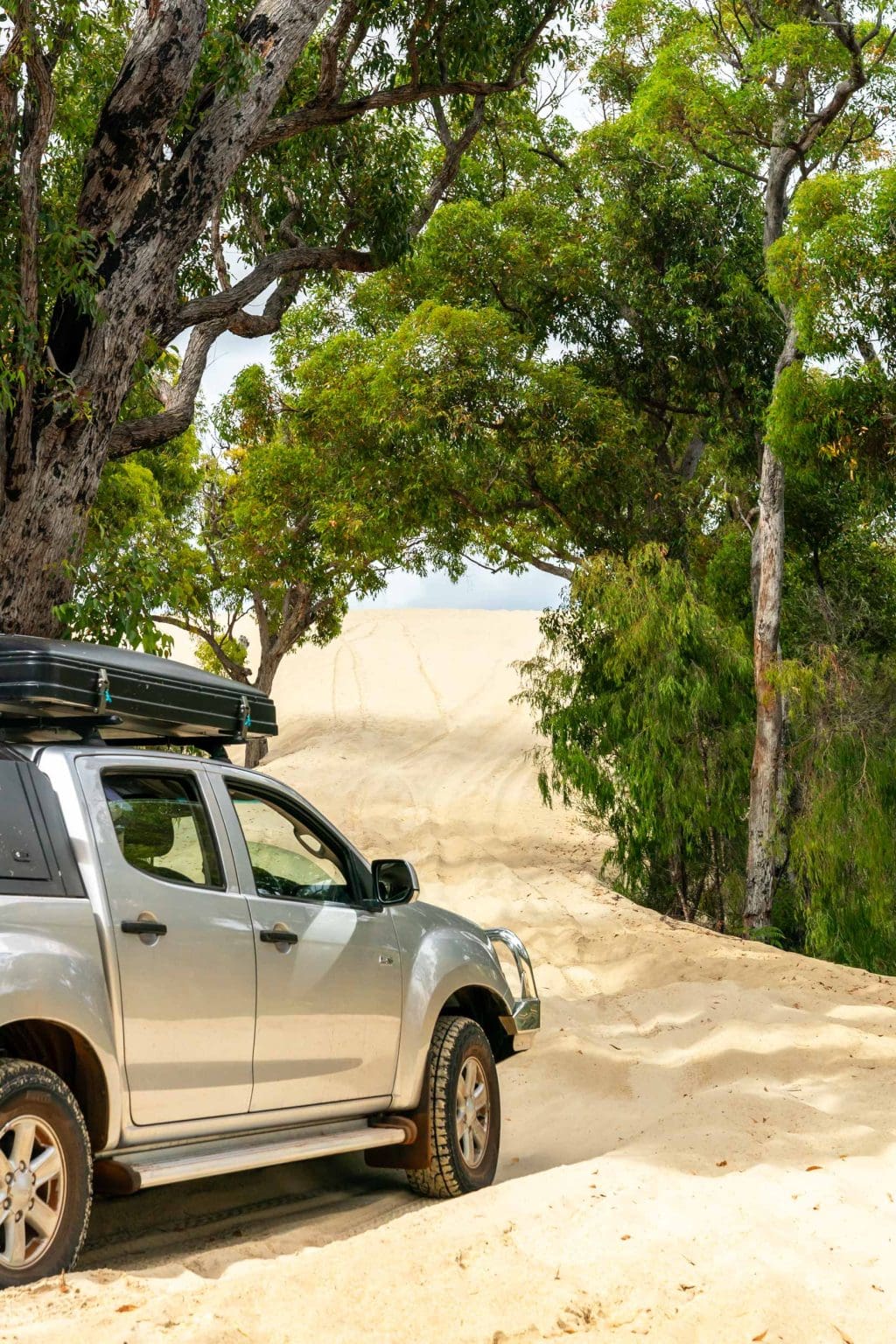 Drive Yeagarup Dunes and Beach - A First Timer's Guide (incl. Video ...
