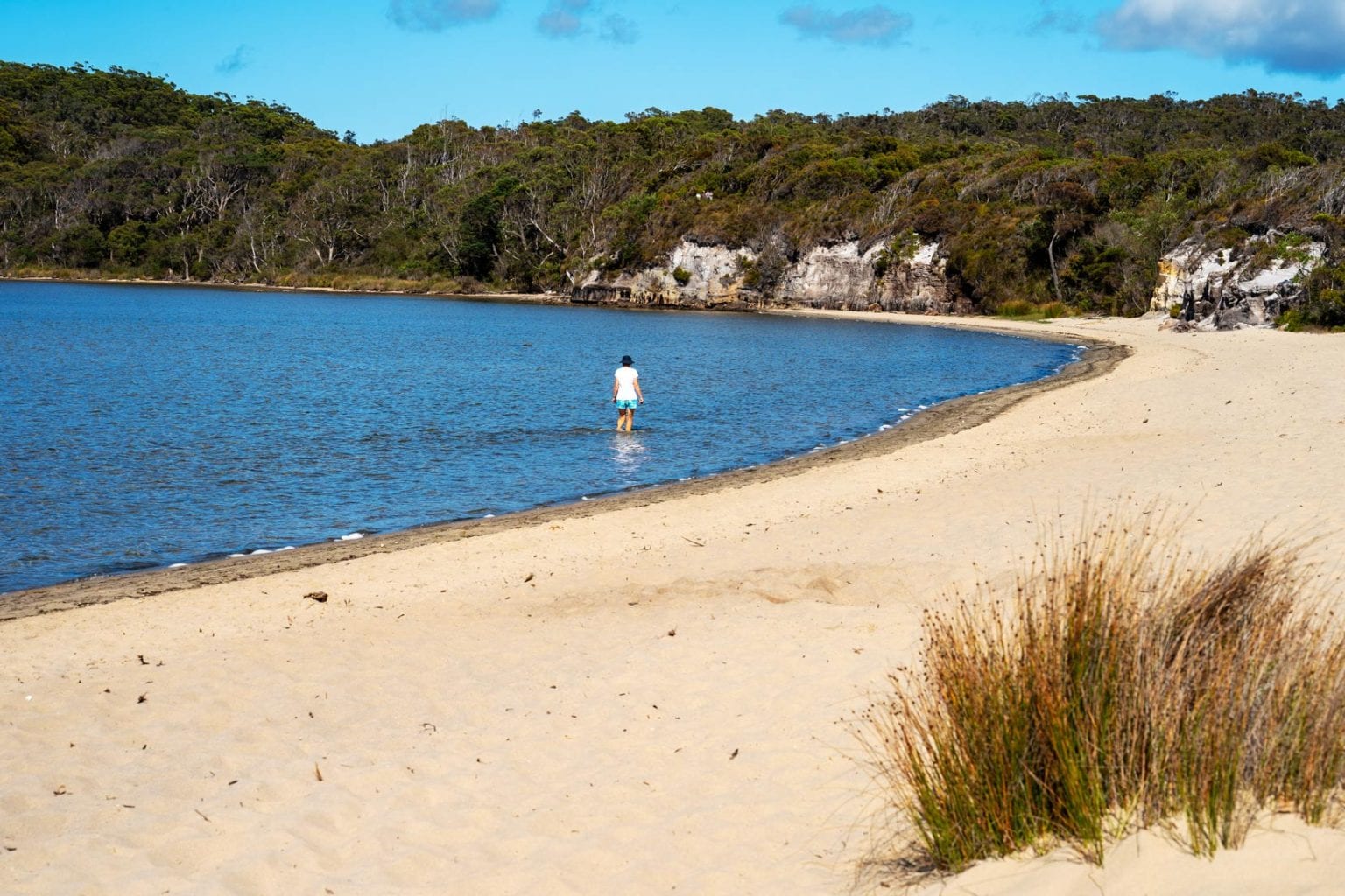 Knoll Scenic Drive in Walpole, WA: A Nature Lover's Guide