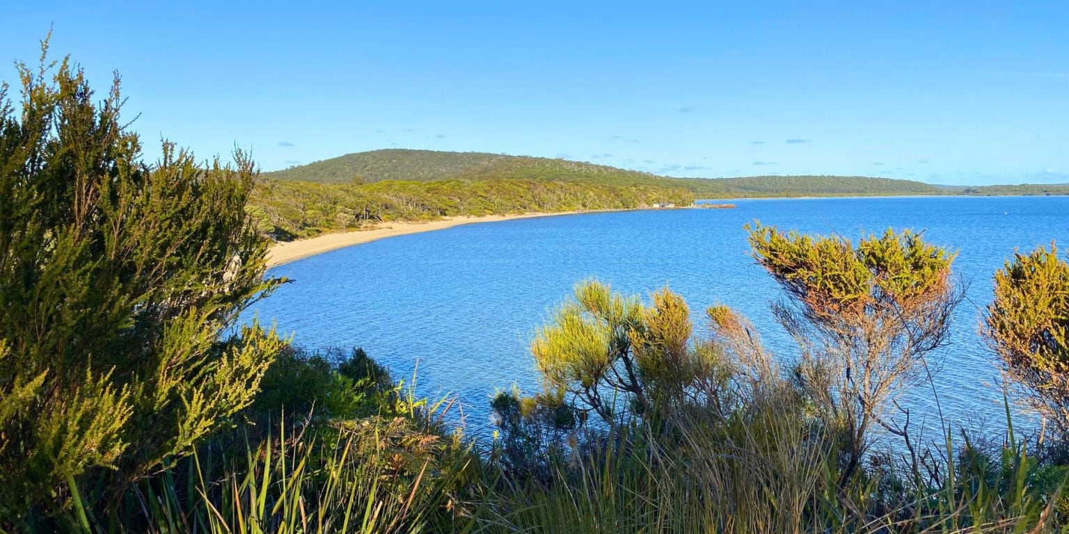 Knoll Scenic Drive in Walpole, WA: A Nature Lover's Guide