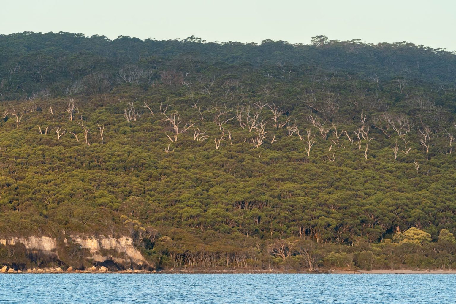 Knoll Scenic Drive in Walpole, WA: A Nature Lover's Guide