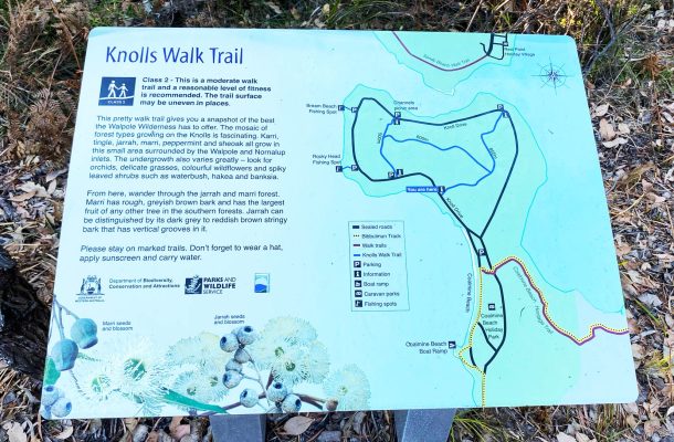 Knoll Scenic Drive in Walpole, WA: A Nature Lover's Guide