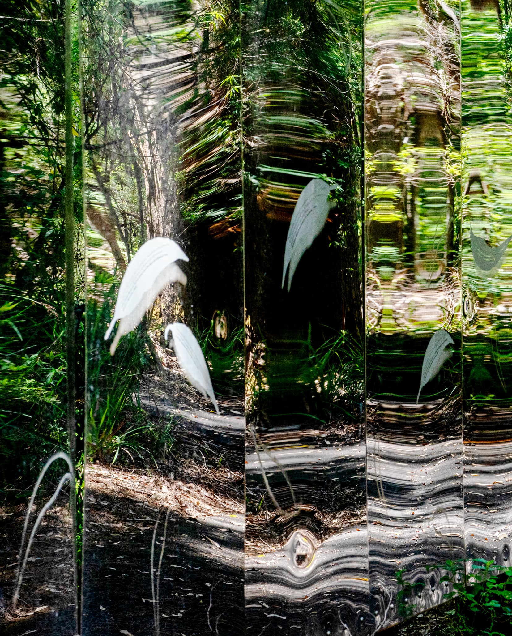 Swarbrick Art Loop WA: A Trail of Reflection and Conservation