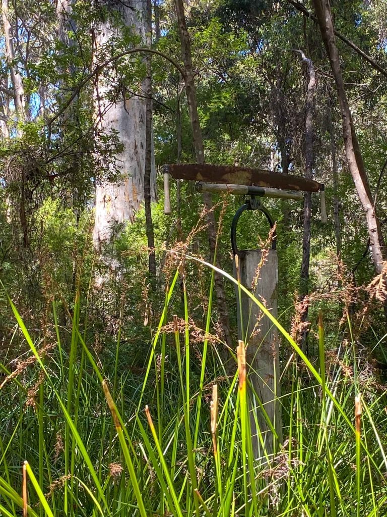 Swarbrick Art Loop WA: A Trail of Reflection and Conservation