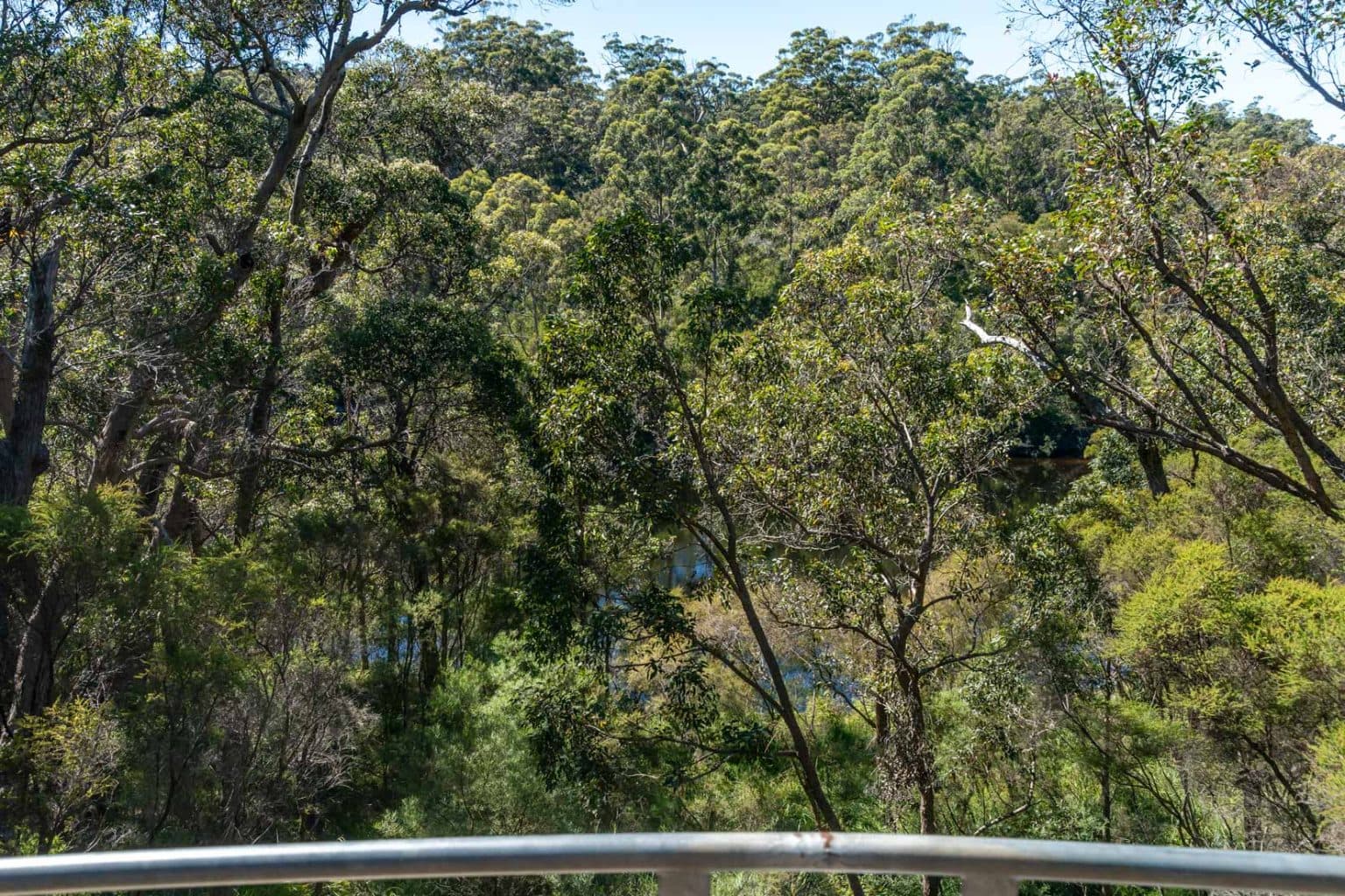 Circular Pool Walpole Guide: Discover this Natural Beauty in WA