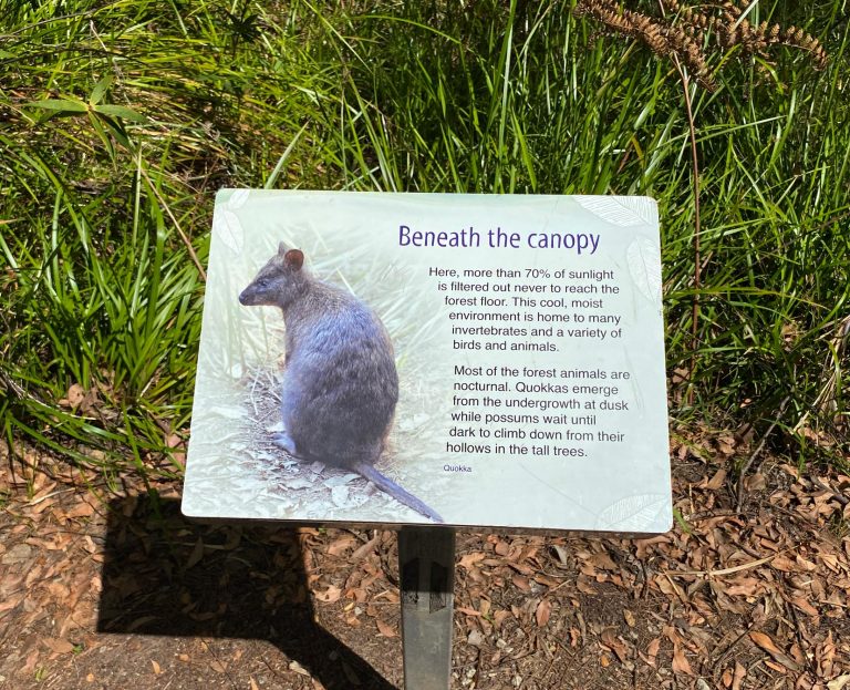 Tree Top Walk Walpole, Western Australia: Photo Story 2024