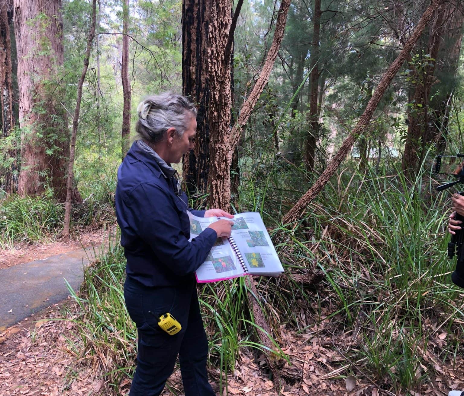 Tree Top Walk Walpole, Western Australia: Photo Story
