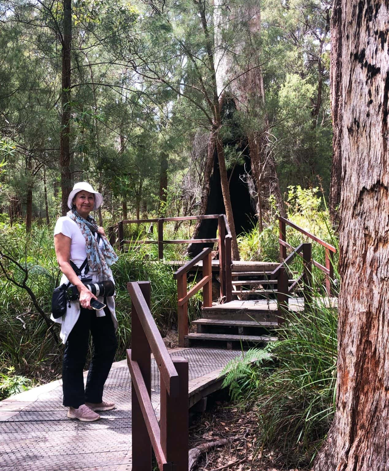 Tree Top Walk Walpole, Western Australia: Photo Story