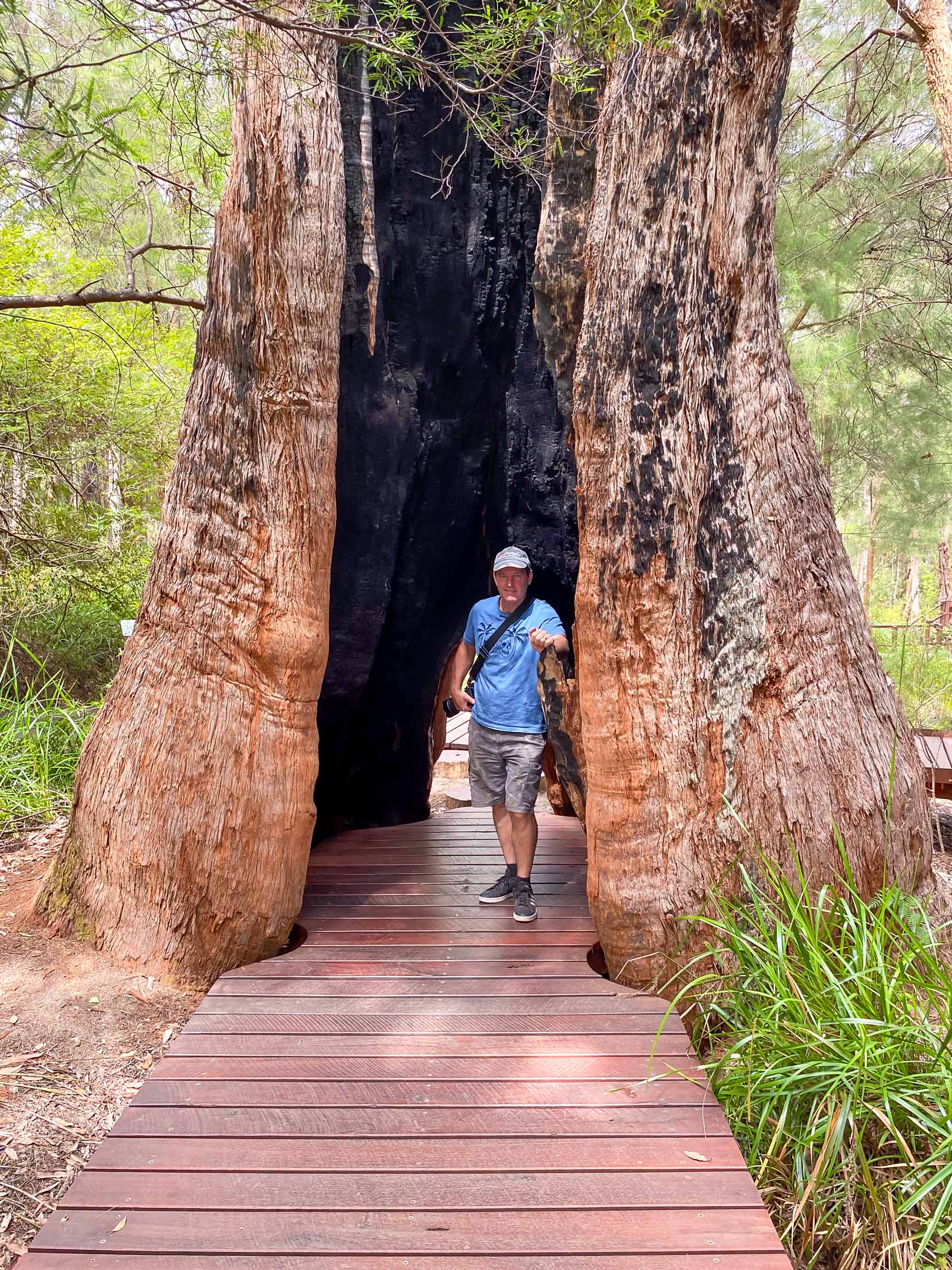 Tree Top Walk Walpole, Western Australia: Photo Story