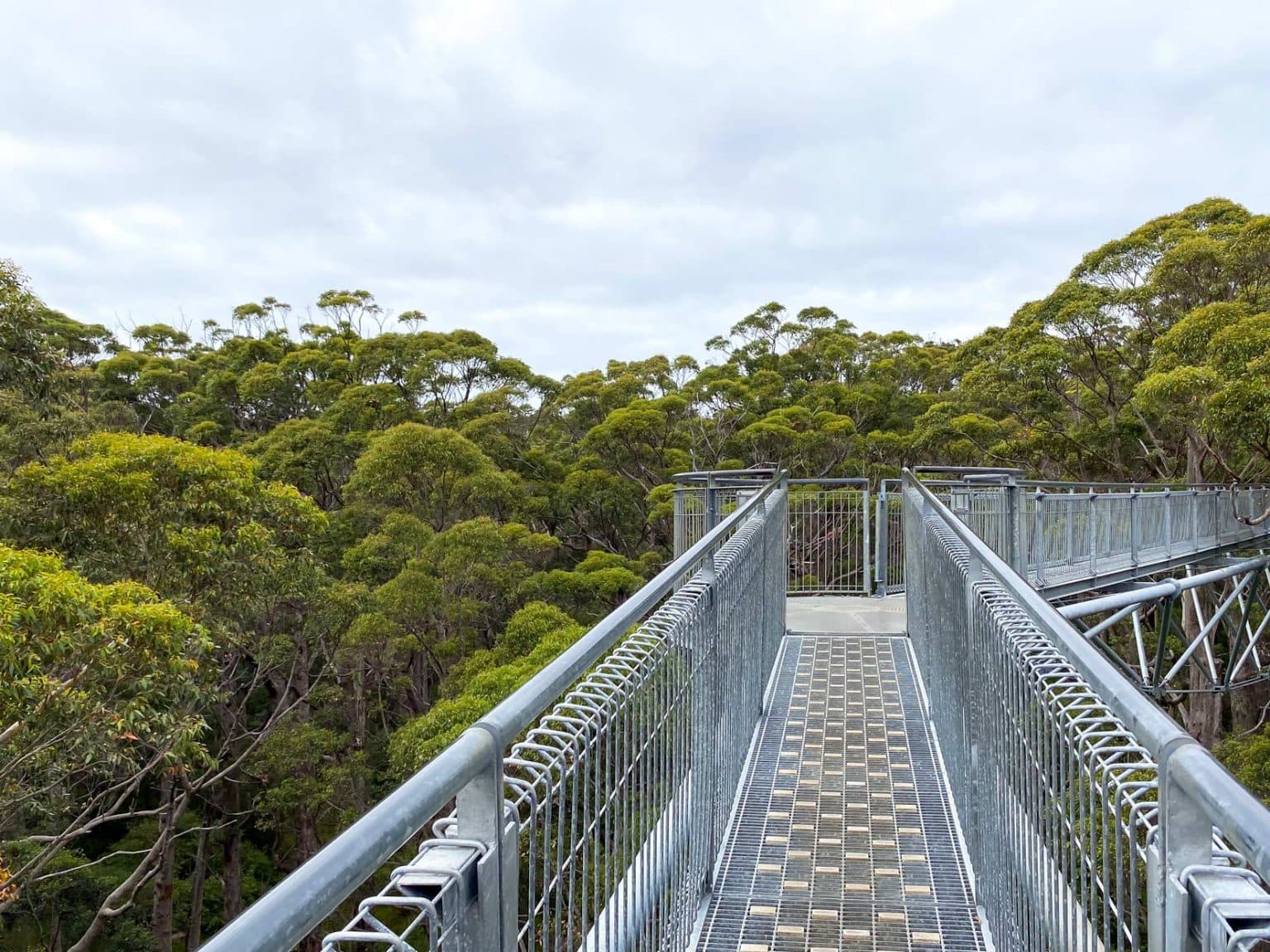 Tree Top Walk Walpole, Western Australia: Photo Story