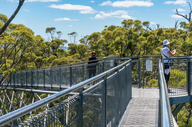 Tree Top Walk Walpole, Western Australia: Photo Story