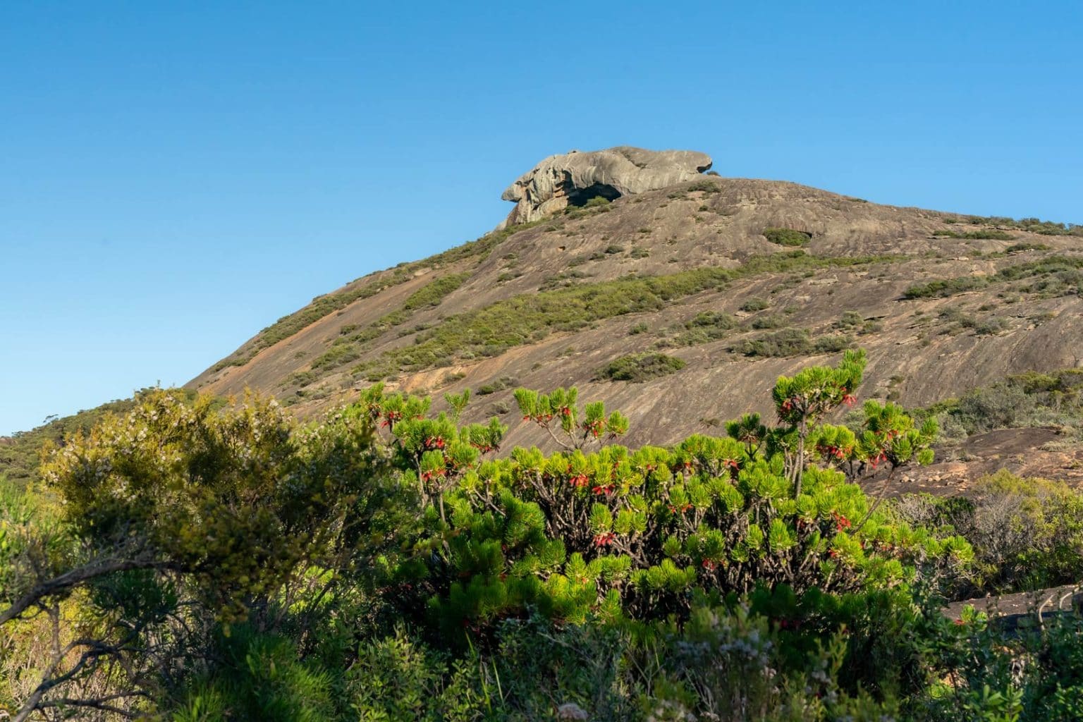 Hiking Frenchman Peak: Beauty and Grit in Cape Le Grand