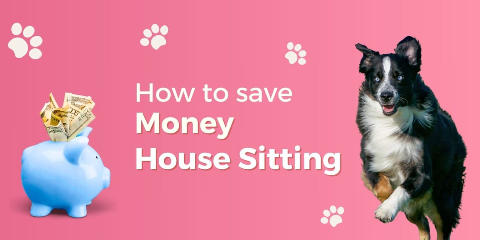 How to Save Money House Sitting in 2025: Ultimate Guide