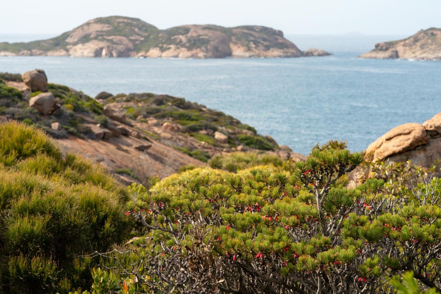 Is Lucky Bay Esperance Really the Best Beach in the World?