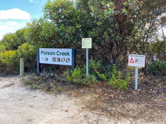 4x4 Israelite Bay: The Drive and What To See (incl video)