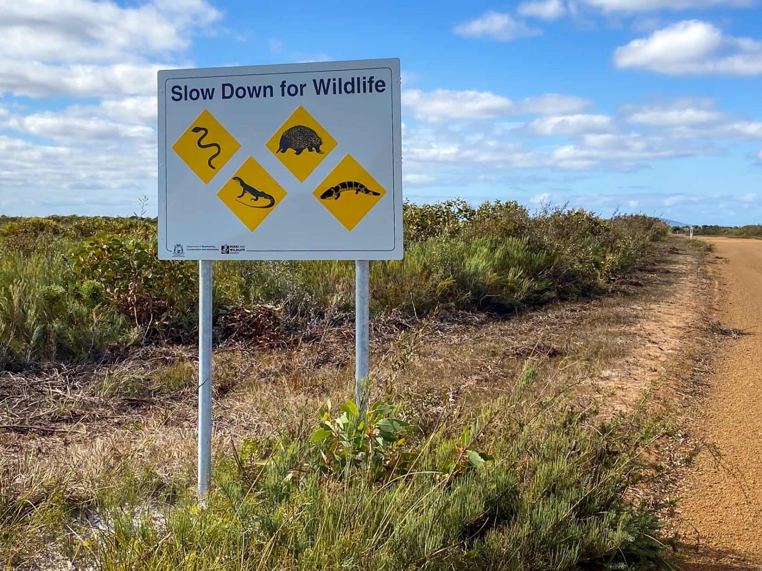 4x4 Israelite Bay: The Drive and What To See (incl video)