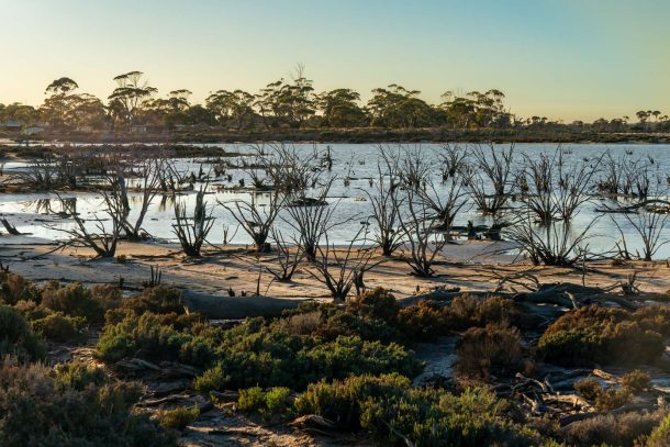 Best Things to Do at Wave Rock: The Ultimate Guide 2025