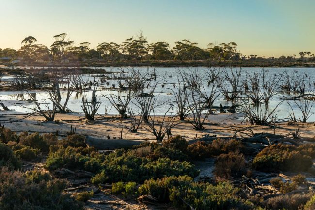 Best Things to Do at Wave Rock: The Ultimate Guide 2025