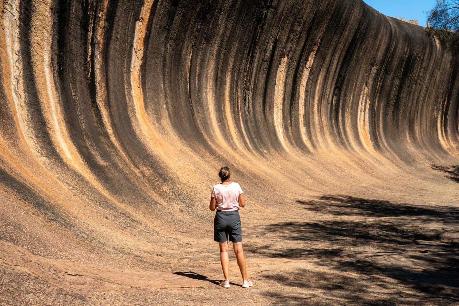 Best Things to Do at Wave Rock: The Ultimate Guide 2024