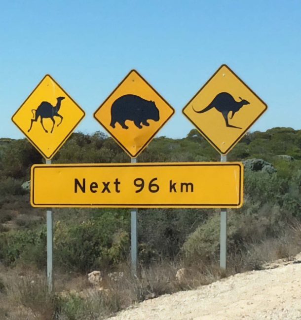 Driving the Nullarbor: Tips, Info and Our Experience