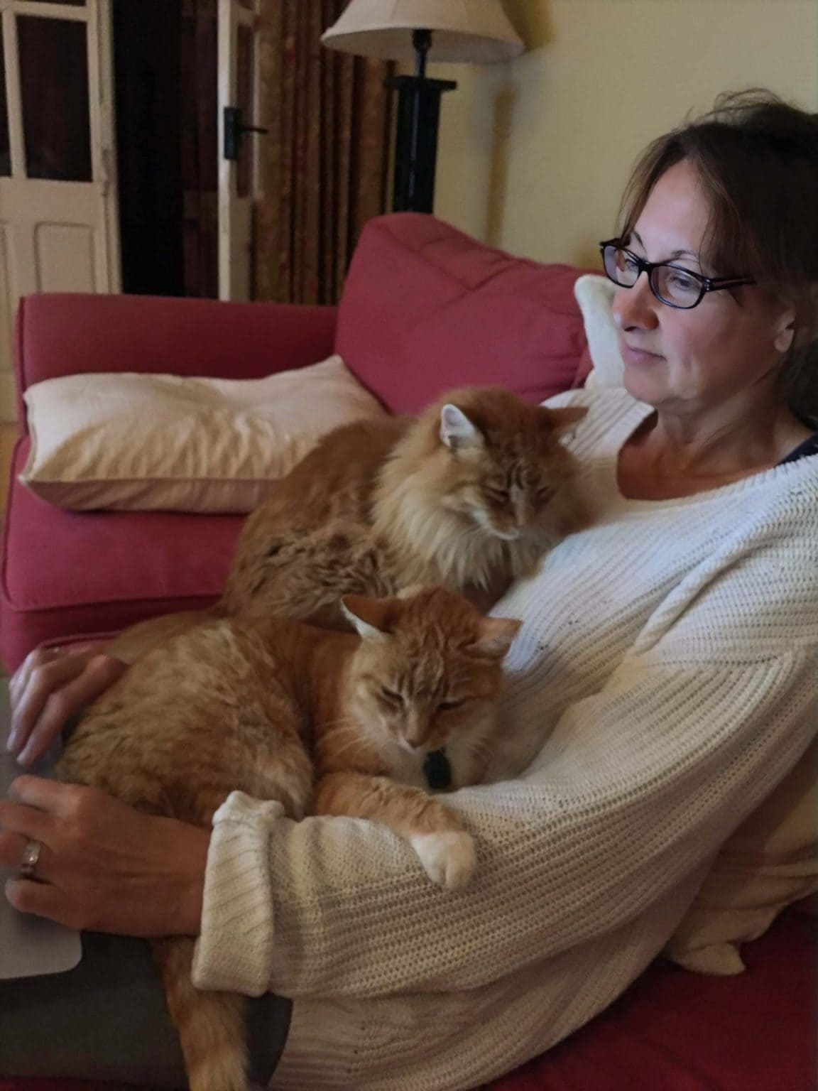 House Sitting: An Emotional Rollercoaster of Joy, Tears and Laughter